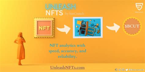 navigating the nft market with confidence the bitscrunch advantage