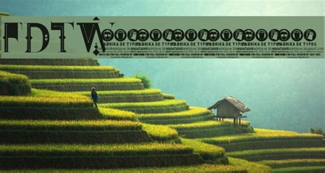 fdt wonderland font