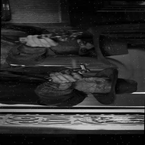 Weapon Detection Object Detection Model By Weapon Dataset