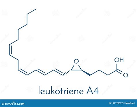 Leukotriene A4 Lta4 Molecule Skeletal Formula Chemical Structure