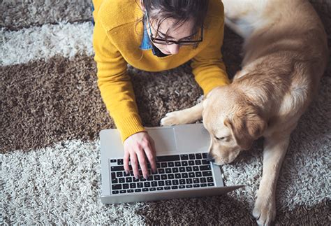 What Is A Sniffer And How To Protect Against Sniffing Avg