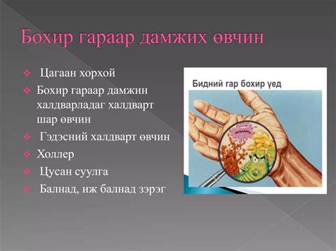 гарын эрүүл ахуй ба гар угаалт хичээл Pptx