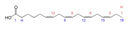 Biochemistry Introduction To Lipids Exam Flashcards Quizlet