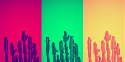 Duotone Generator And Previewer With Photoshop Actions Giggster Guide