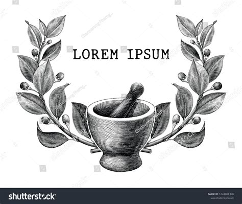 Mortar Pestle Herbs Frame Vintage Engraving Stock Vector Royalty Free