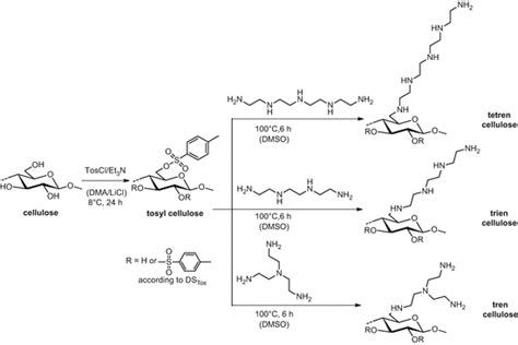 Cellulose Structure And Properties Springerlink