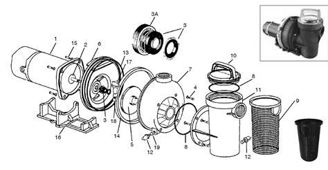 Pool Pump Assembly Diagram Parts Jandy Pool Pump Mhp Diagram