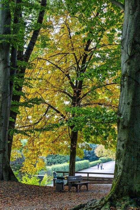 Golden Autumn View In Famous Munich Relax Place Englischer Garten Munich Bavaria Germany