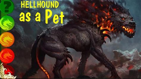 Raza De Perro Hellhound Orígenes Características Y Guía De Cuidados