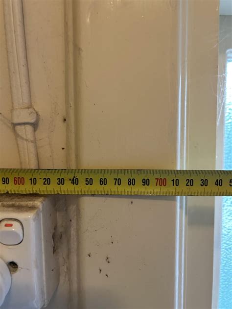 A Subreddit For Renovating And Improving Houses And Property In Australia