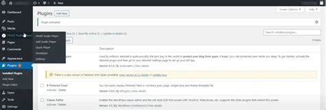 Top Website Audio Player Widgets Music Plugins In