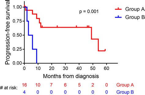 Kaplan‐meier Plot Of Progression‐free Survival For Patients With