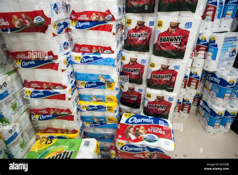 Toilet Paper Store Brand