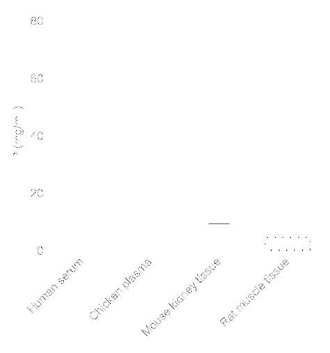 Novus Biologicals™ Bradford Protein Assay Kit Colorimetric 96 Tests