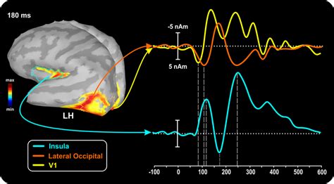 Source Localization Of The Dynamic Statistical Parametric Method