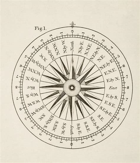 Points Of The Compass From A 19th Drawing By Vintage Design Pics Pixels