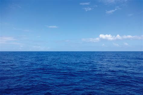 空と海の間でたゆたう気候変動に数値シミュレーションから迫る／升本順夫 東京大学