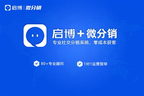 商城后台管理系统：高效管理您的电商平台 长尾词 启博软件