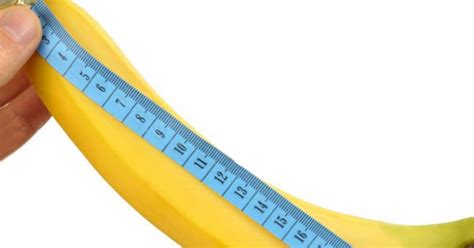 SALUD Y REPRODUCCIÓN EL TAMAÑO DEL PENE Y SU MEDICIÓN CORRECTA