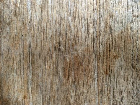 Empty Texture Of Wall Wood Elegant And Beautiful Background Stock