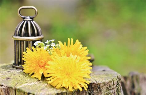 技術者ブログ：（outsystems）advanced Excelを使ったexcel出力 Dandelions Blog