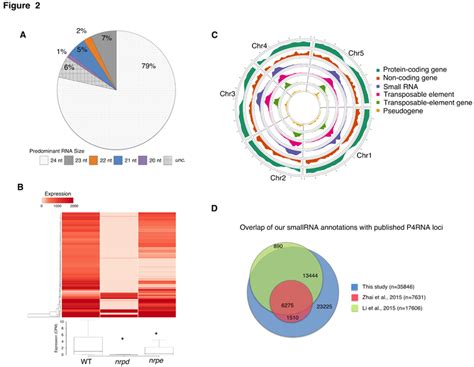 Rna Seq Enables A Complete Reannotation Of The Arabidopsis Thaliana Reference Genome Rna Seq Blog