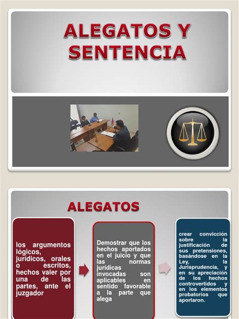 Alegatos En Juicio Oral Guía Práctica Pdf Sentencia Ley