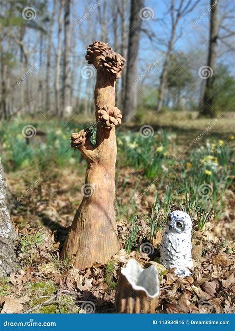 Mutant Tree Editorial Photo Image Of Mutant Studio 113934916