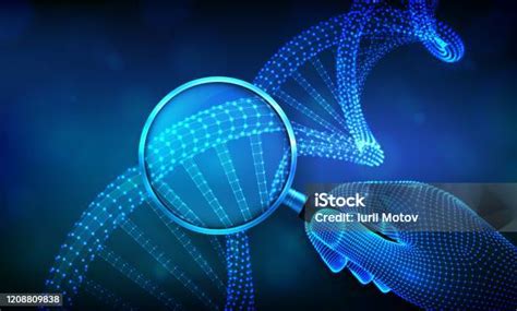 손과 Dna 서열에 돋보기를 가진 유전 공학 개념 와이어 프레임 Dna 분자 구조 메쉬 Dna 코드 편집 가능한 템플릿입니다