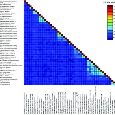 Full Genome Pairwise Identity Matrix Of Representative Sequences Of