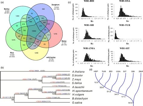 Figure 1 From The Draft Genome Of A Wild Barley Genotype Reveals Its Enrichment In Genes Related