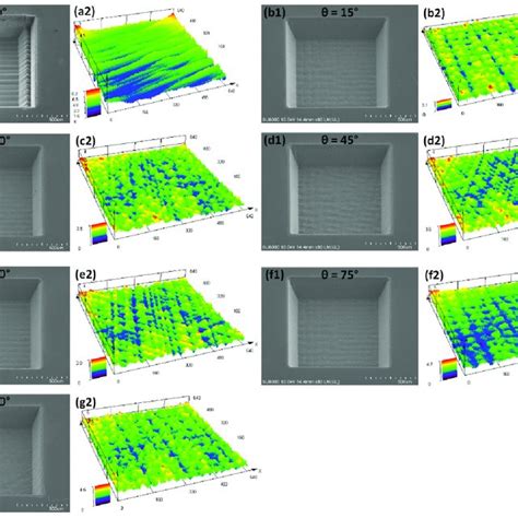 A1 G1 Sem Images And A2 G2 Lscm Measurements Of The Square Trenches Download Scientific
