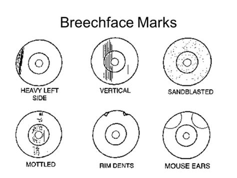 Tool Marks And Ballistics Flashcards Quizlet