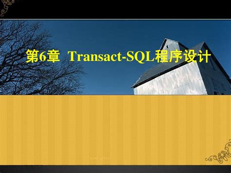 第6章 Transact Sql程序设计word文档在线阅读与下载无忧文档 第6章 Transact Sql程序设计word文档在线阅读与下载无忧文档