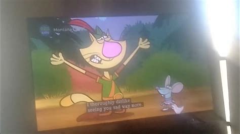Nature Cat Hal Daisy Squeeks Crying Youtube