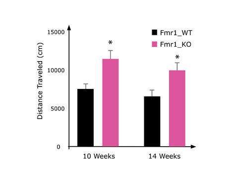 Characterization Of A Mouse Model Of Fragile X Syndrome Psychogenics