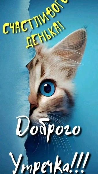 С добрым утром Пусть этот день будет наполнен радостью и удачей Не забывай улыбаться и делать