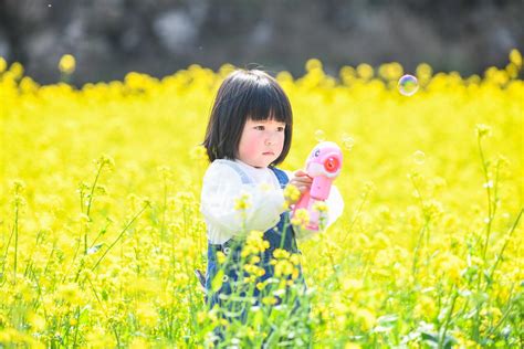 ទេសភាពដ៏ស្រស់ស្អាតនៅរដូវផ្ការីក