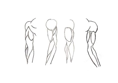 Arm Anatomy Sketch