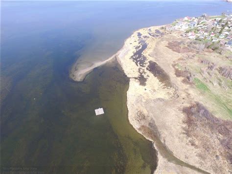 Tern Platform Aerial View Shediac Bay Watershed Association