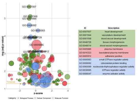 Goplot 画出别样的go富集分析图gene