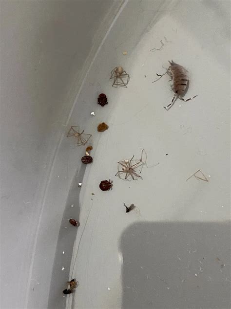 미세해충 방역 에스엔씨기술 구 Jnscorp 숨고 숨은고수