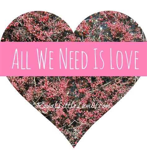 Learning To Love