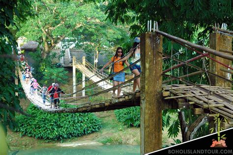 Hanging Bamboo Bridge In Bohol