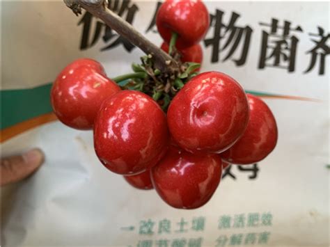 水溶肥厂家如何选听听经销商李老板的经验之谈 行业新闻 烟台拉姆拉进出口有限公司