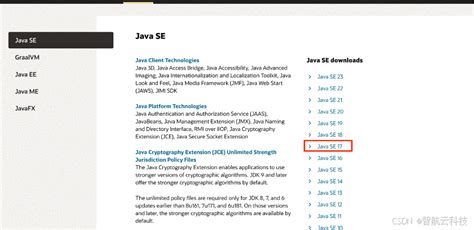 Macos 安装jdk17mac 安装jdk17 Csdn博客
