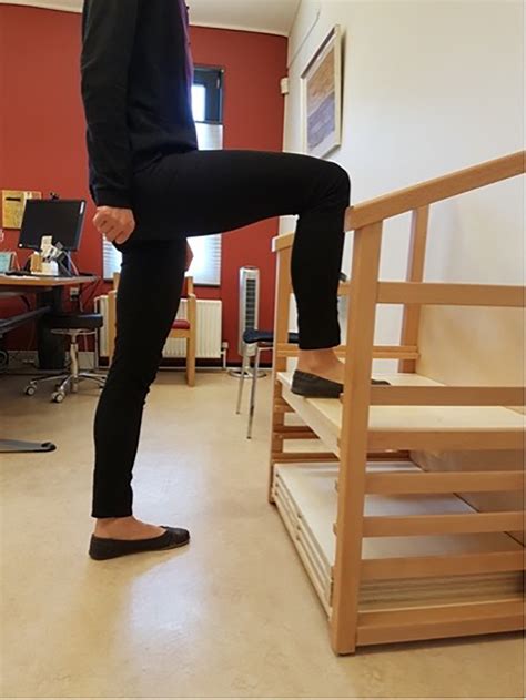 The Maximal Stepup Height Test Download Scientific Diagram