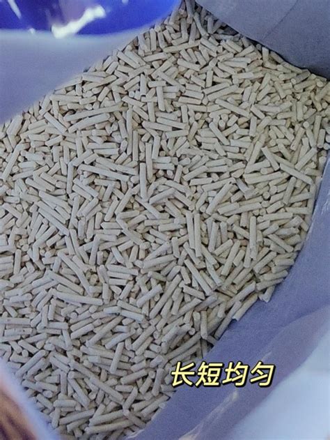 猫砂可以冲厕所吗什么样的猫砂好 知乎
