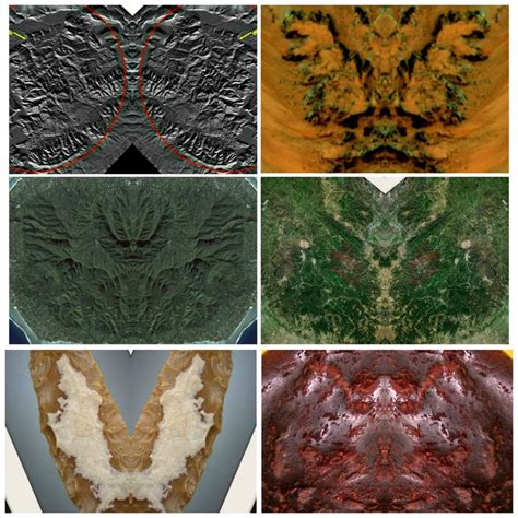 Pin By Shalemhooffs Facts On Prehistoric Three Dimensional Polymorphic