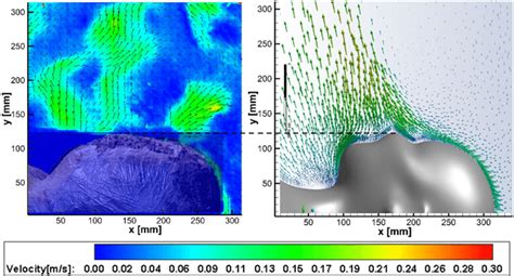 Velocity Vectors For The Patient Left Piv Measurements Right Cfd Download Scientific Diagram